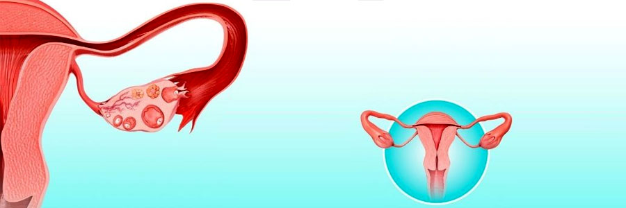 Dr Rachana Kaveri | Obstetrician & Gynaecologist